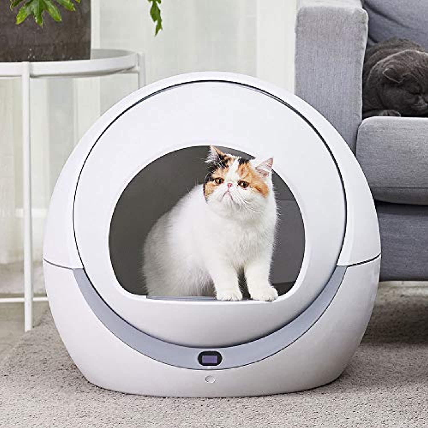 ASDJFHKJS Automatic Cat Toilet Automatic Cat Sandbox Induction Rotary ASDJFHKJS Automatic Cat Toilet Automatic Cat Sandbox Induction Rotary